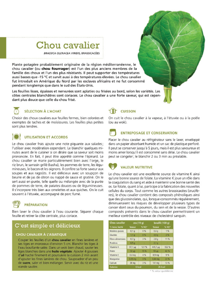 Chou Cavalier | PDF