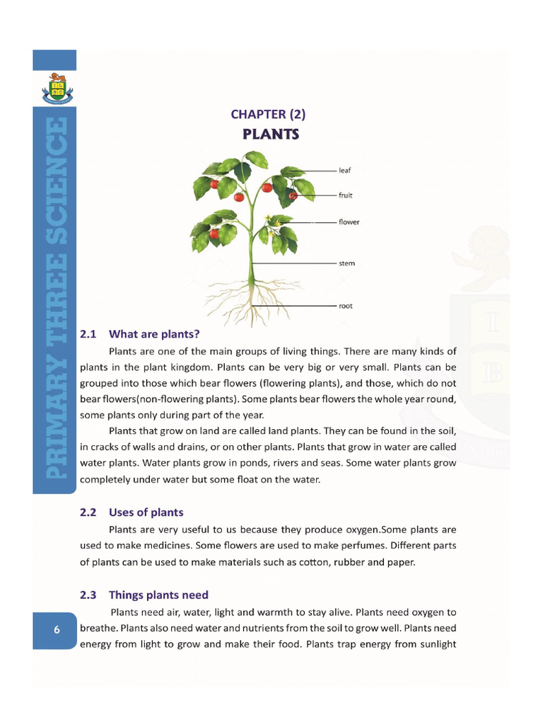 Chapter - 2 Plants | PDF