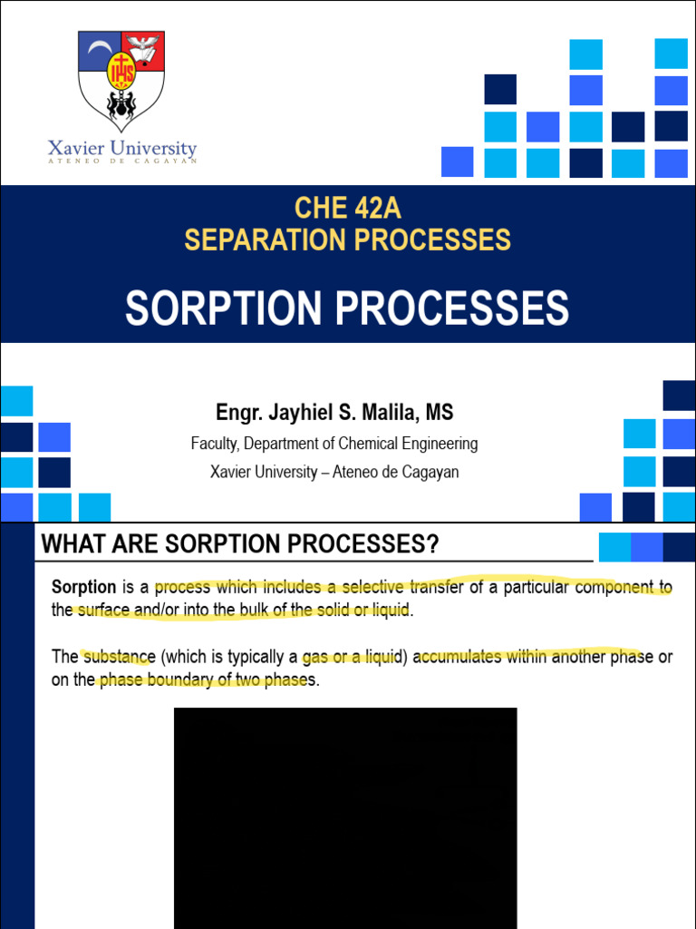 CHE 42A - Sorption Processes | PDF | Adsorption | Ion Exchange
