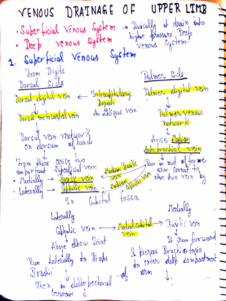 Venous Drainage of Upper Limb | PDF