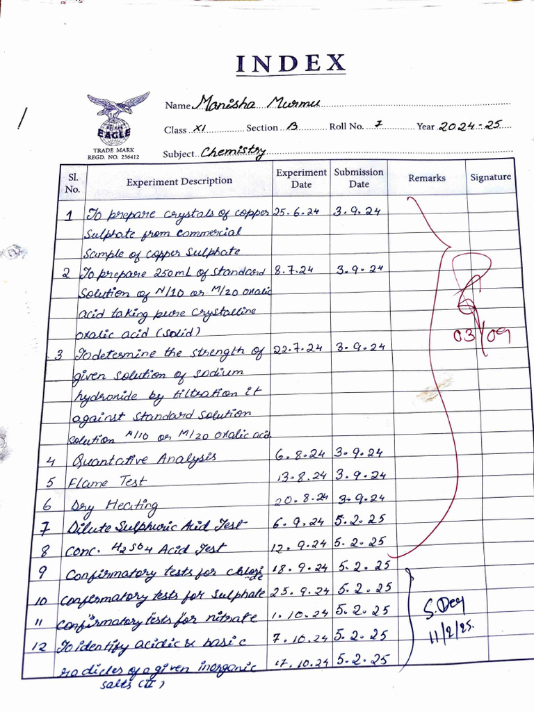 Chemistry Practical Class 11 | PDF