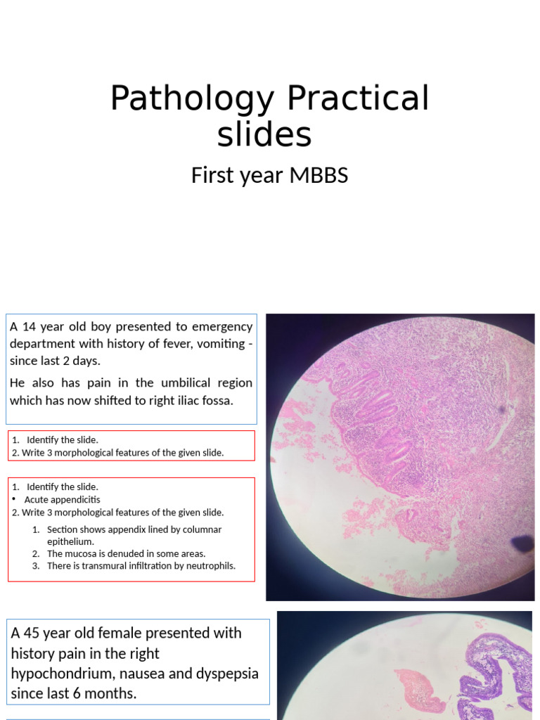 Practical Slides OSPE Pathology | PDF | Epithelium | Skin