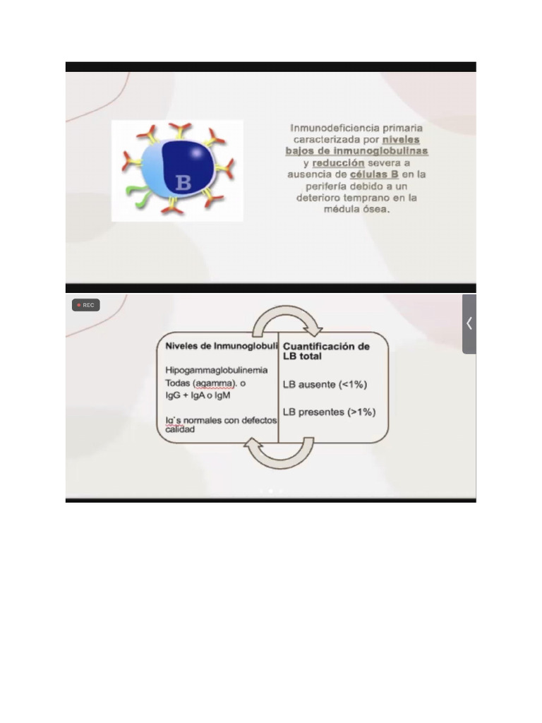 Agamma Ligada Al X | PDF
