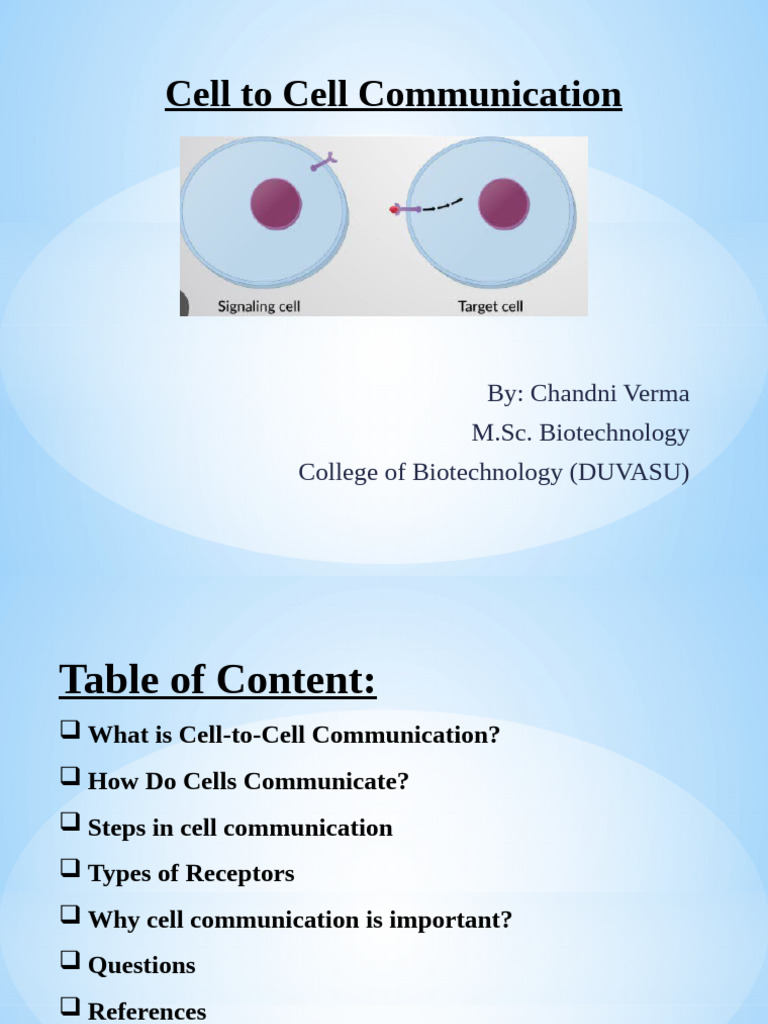 Cell To Cell Communication | PDF | Cell Signaling | Receptor (Biochemistry)