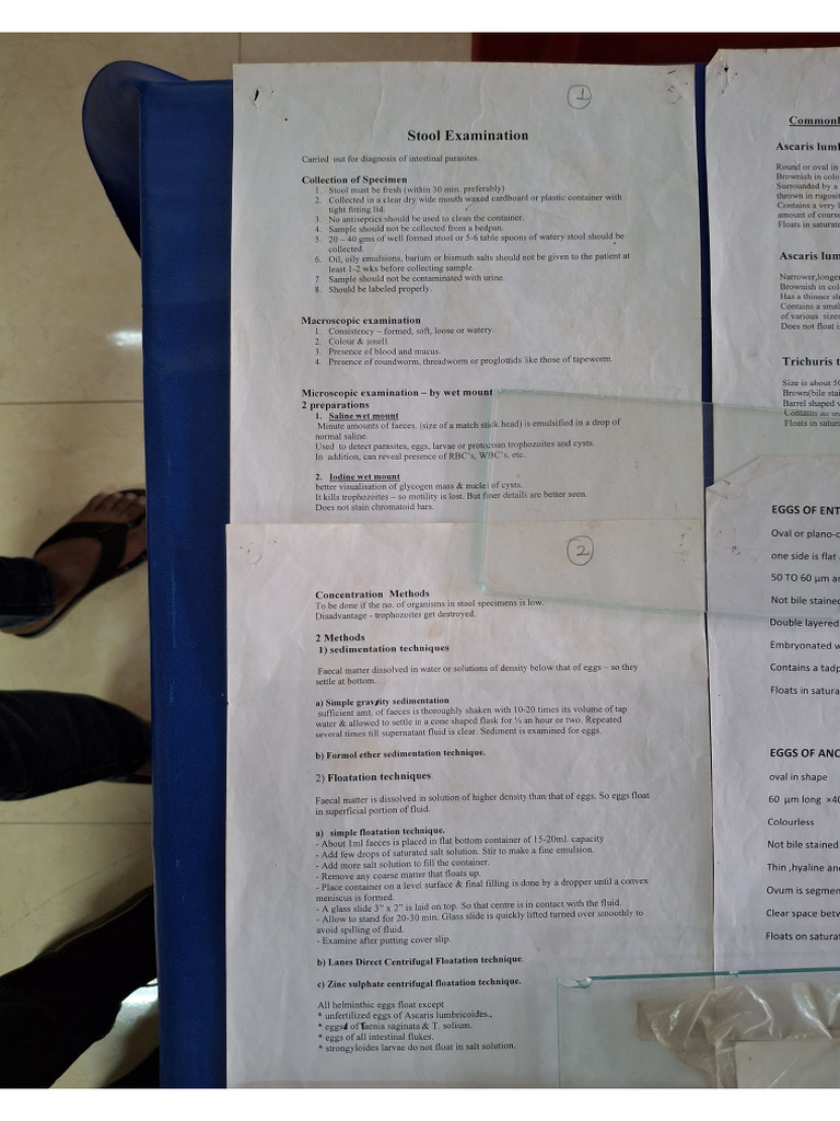 Stool Examination | PDF