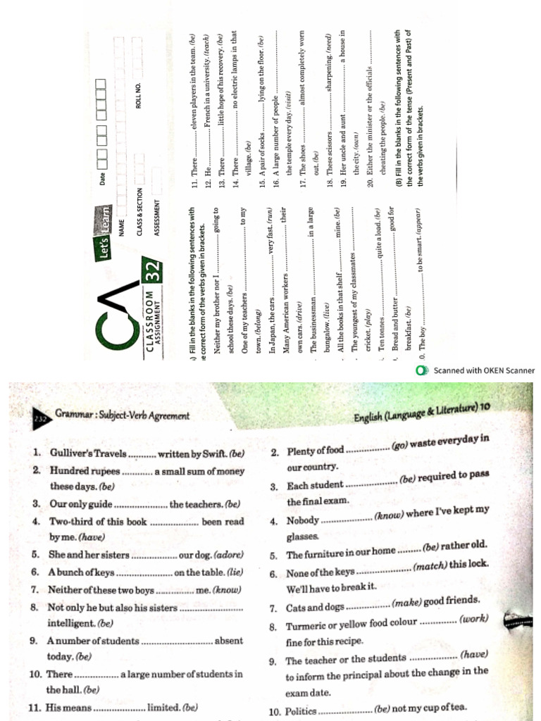 Subject-Verb Agreement - Exercise | PDF