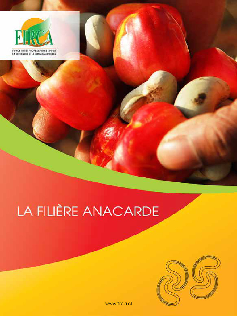 FIRCA et Filière Anacarde en Côte d'Ivoire | PDF | Côte d'Ivoire | Économie