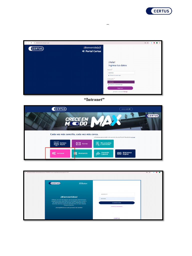 Certus Guia para Revisar Sus Calificaciones | PDF