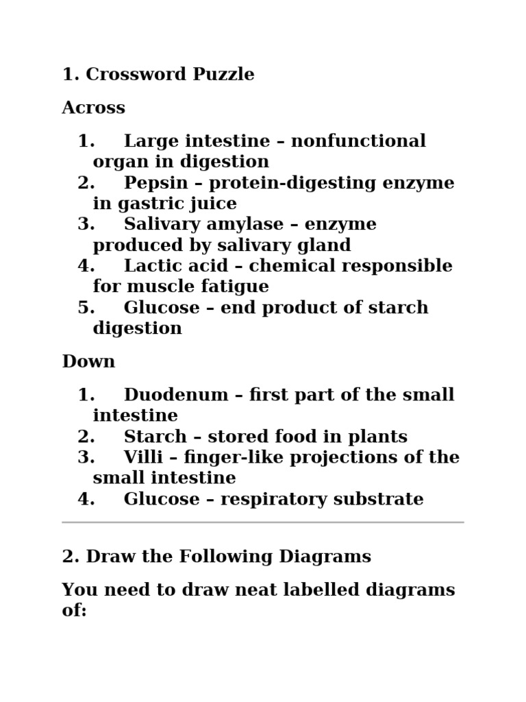 Biology Holiday Homework | PDF | Lung | Heart