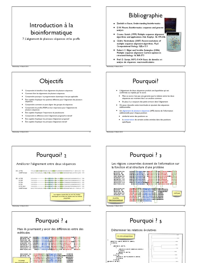 L7 Alignement de Plusieurs Sequences | PDF | Programmation dynamique | Mutation