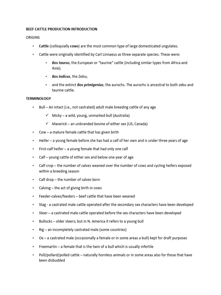 Beef Cattle Production Introduction22 | PDF | Cattle | Domesticated Animals