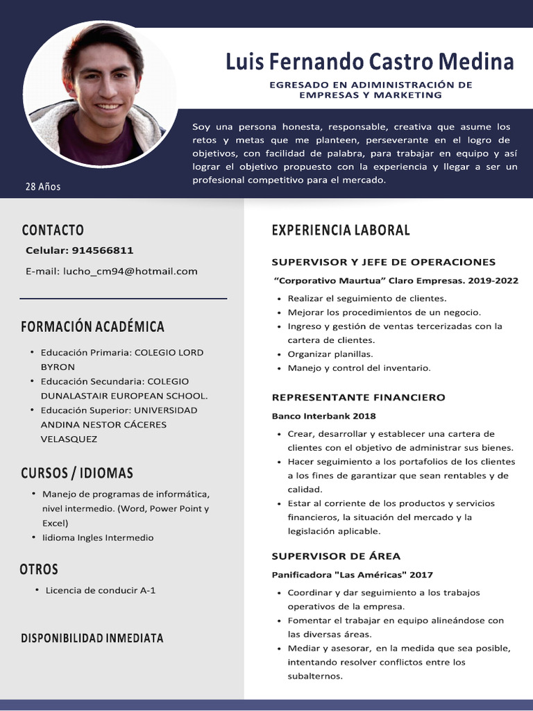 CV Luis Castro 2023 | PDF
