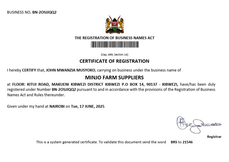 BN-2OSJJQQ2-Business Name Registration Certificate | PDF
