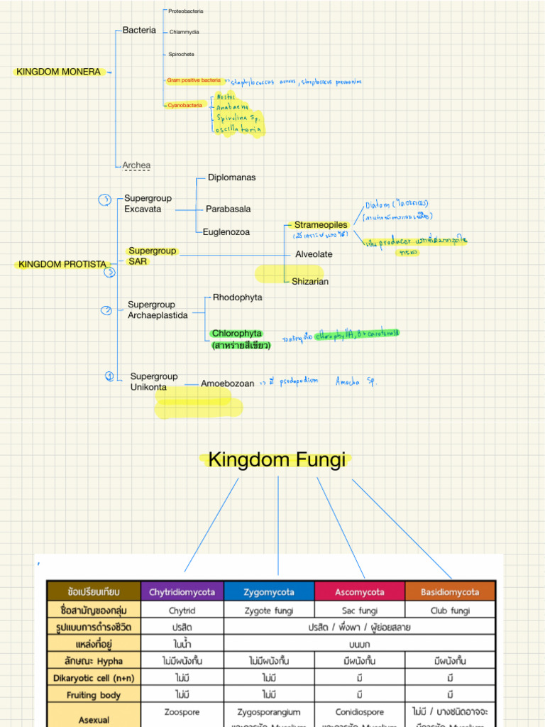 Taxonomy เล็ค | PDF | Organisms | Microorganism