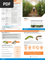DECIS FORTE Ficha Tecnica 2024 | PDF