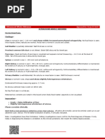 USG Abdominal Pelvis Report | PDF | Abdomen | Anatomy