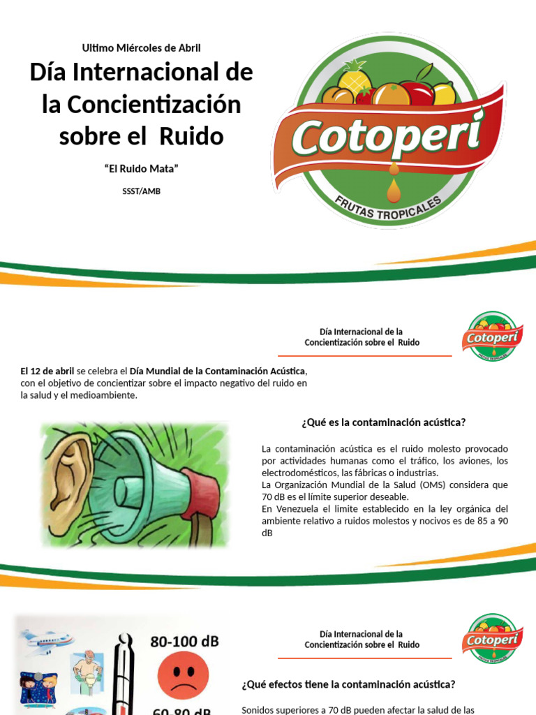 Concientización sobre Contaminación Acústica | PDF | ruido | Sonido