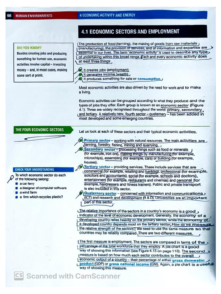 Chapter 4 Lessons 5 | PDF