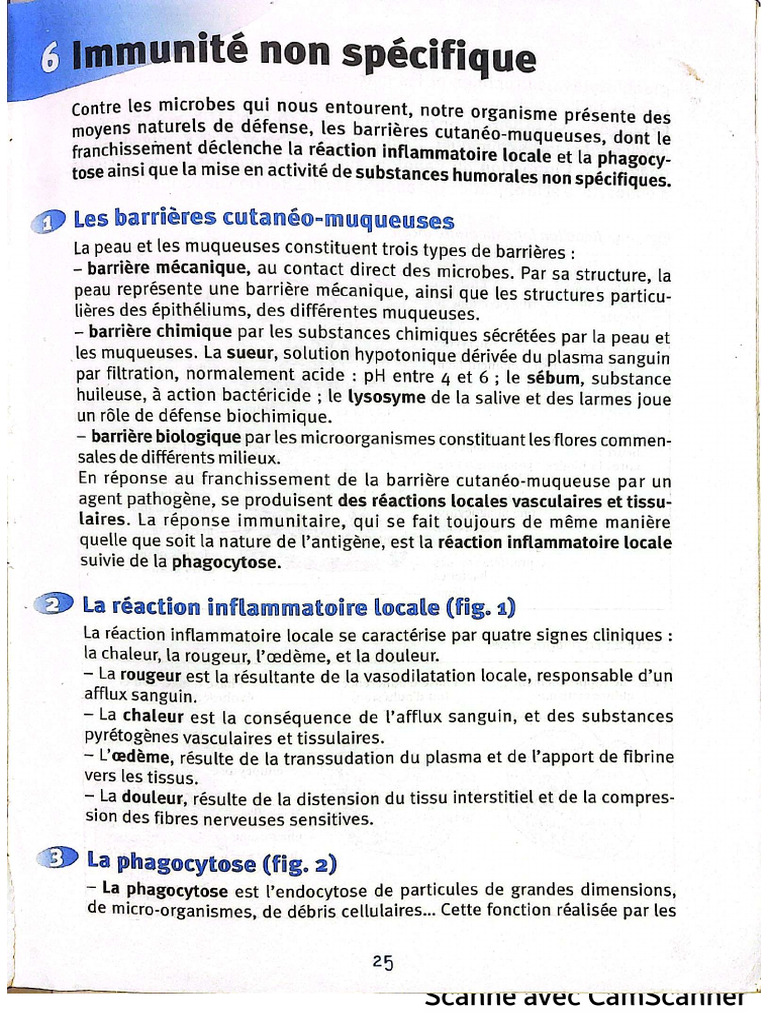 Réponse Immunitaire | PDF