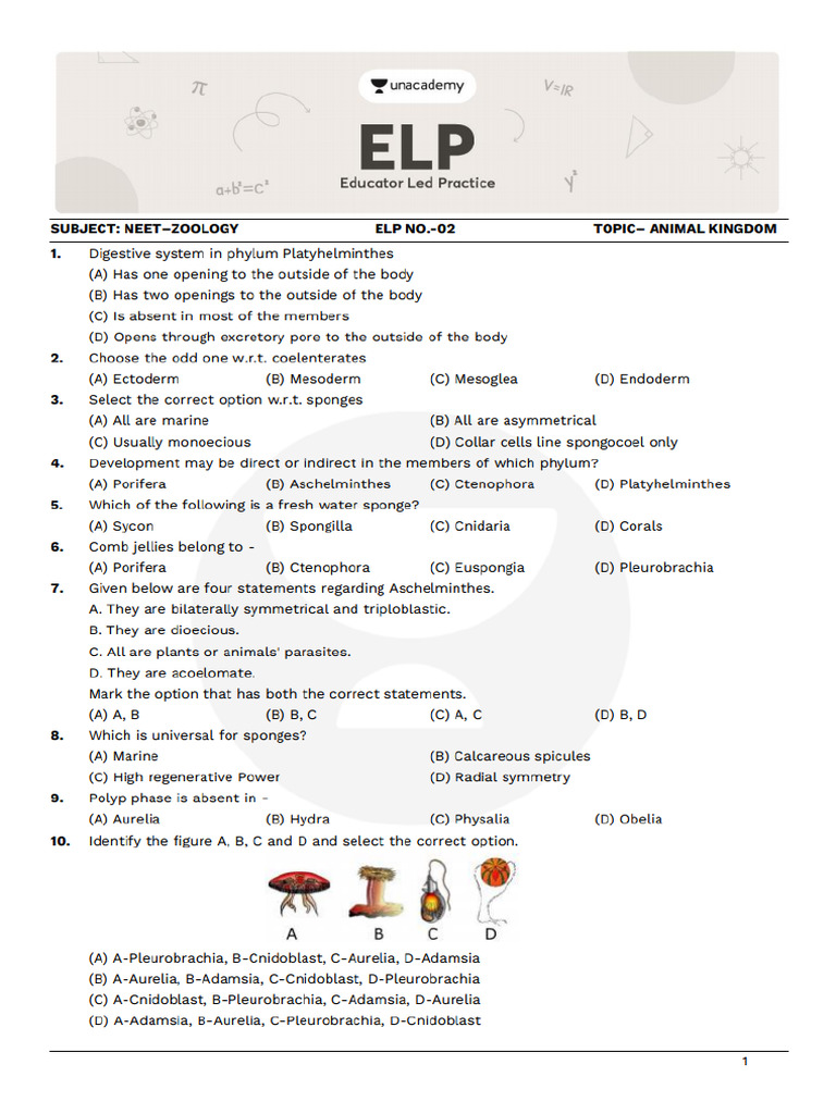 ELP 02 Animal Kingdom | PDF