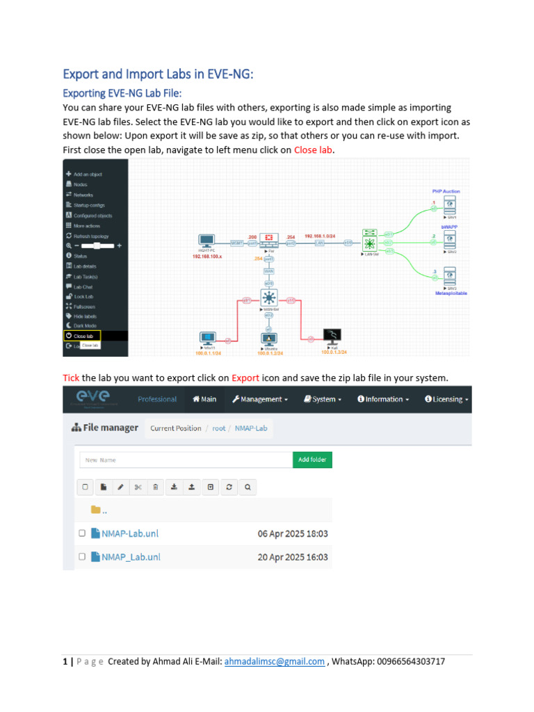 11-Import Labs in EVE-NG | PDF