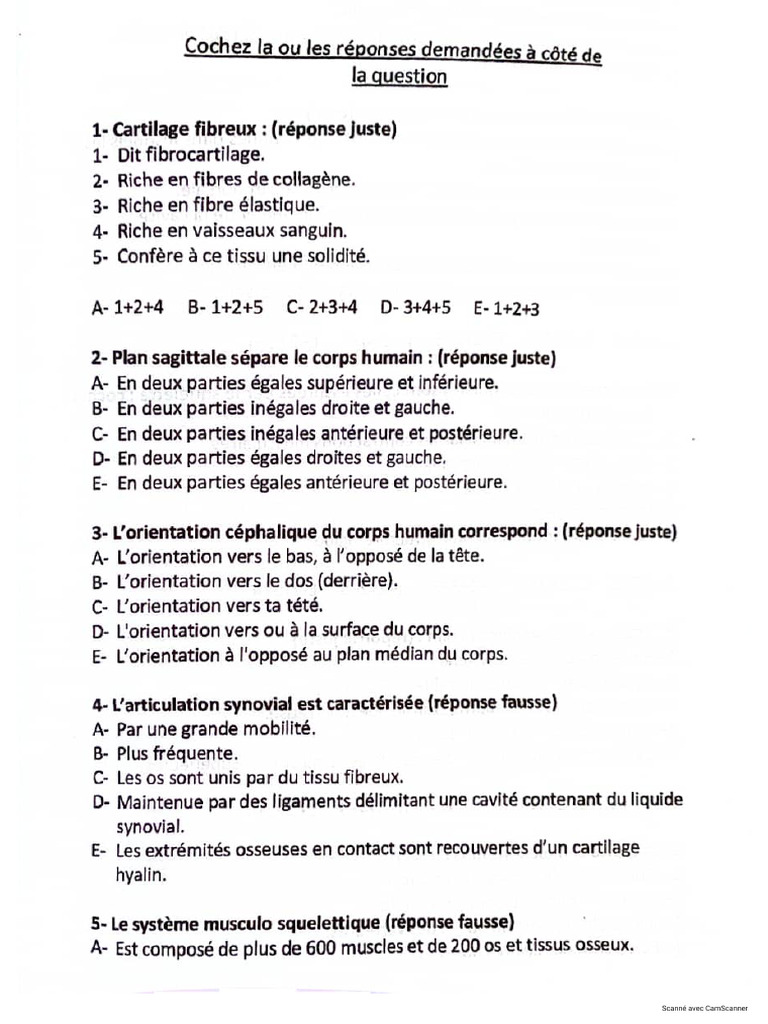 Qcms Anatomie Pharmastuce | PDF