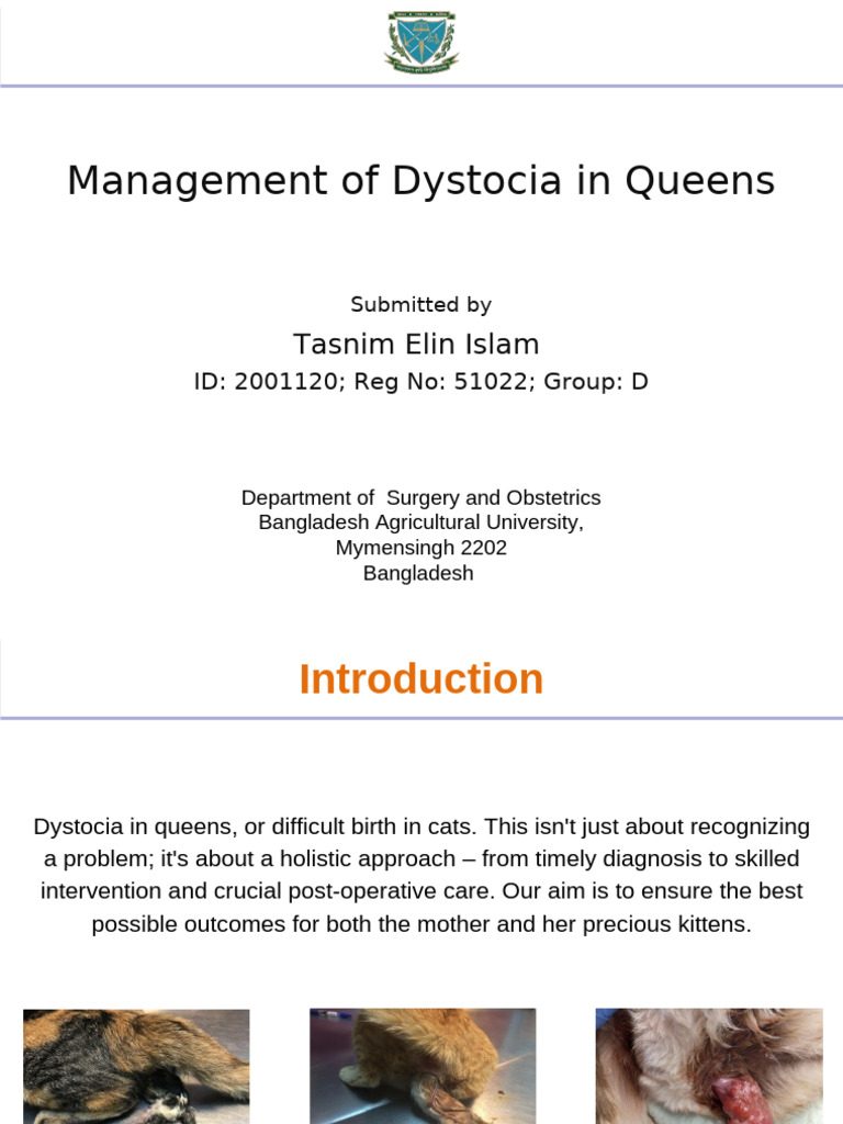 Tasnim's Queen Presentation | PDF | Surgery | Medical Specialties