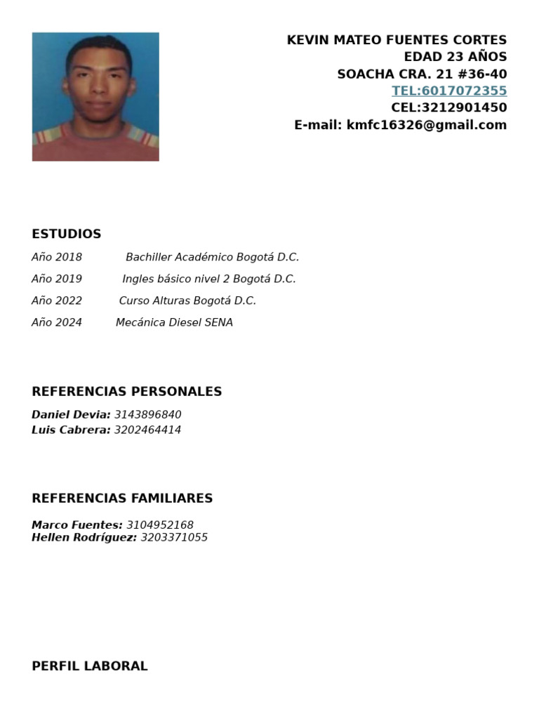Kevin Fuentes CV | PDF