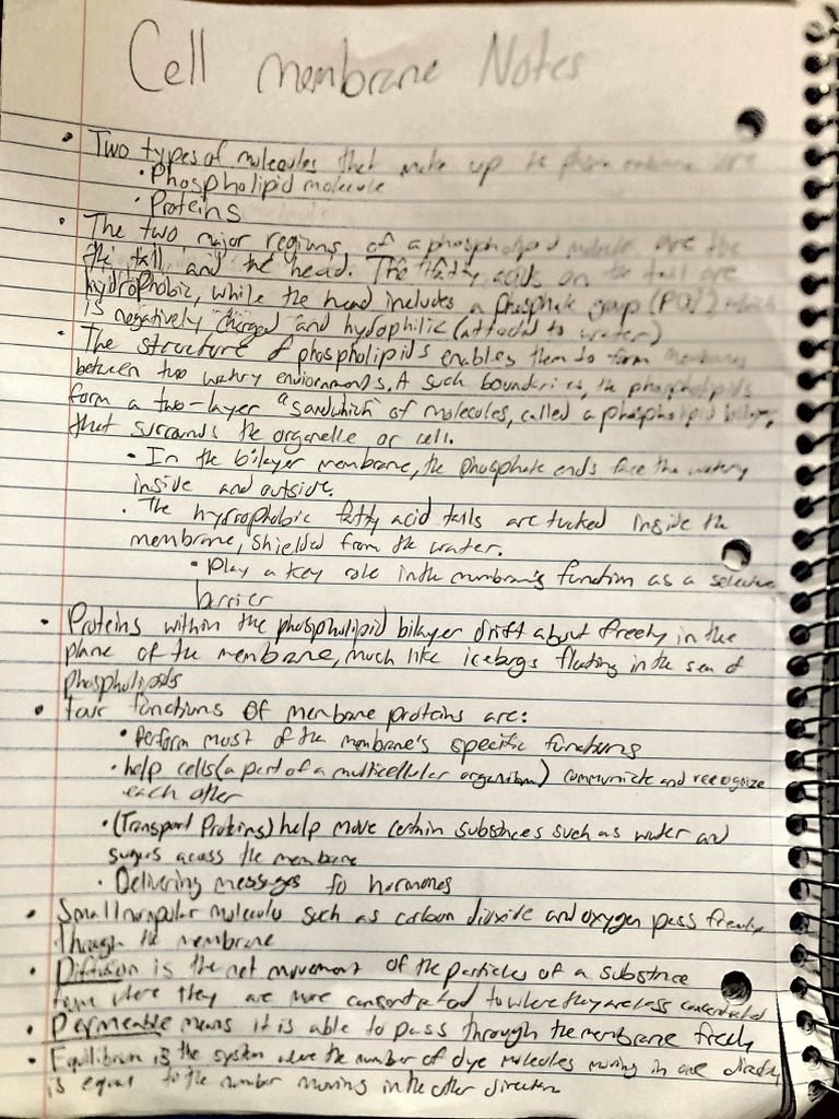 Cell Membranes Notes | PDF