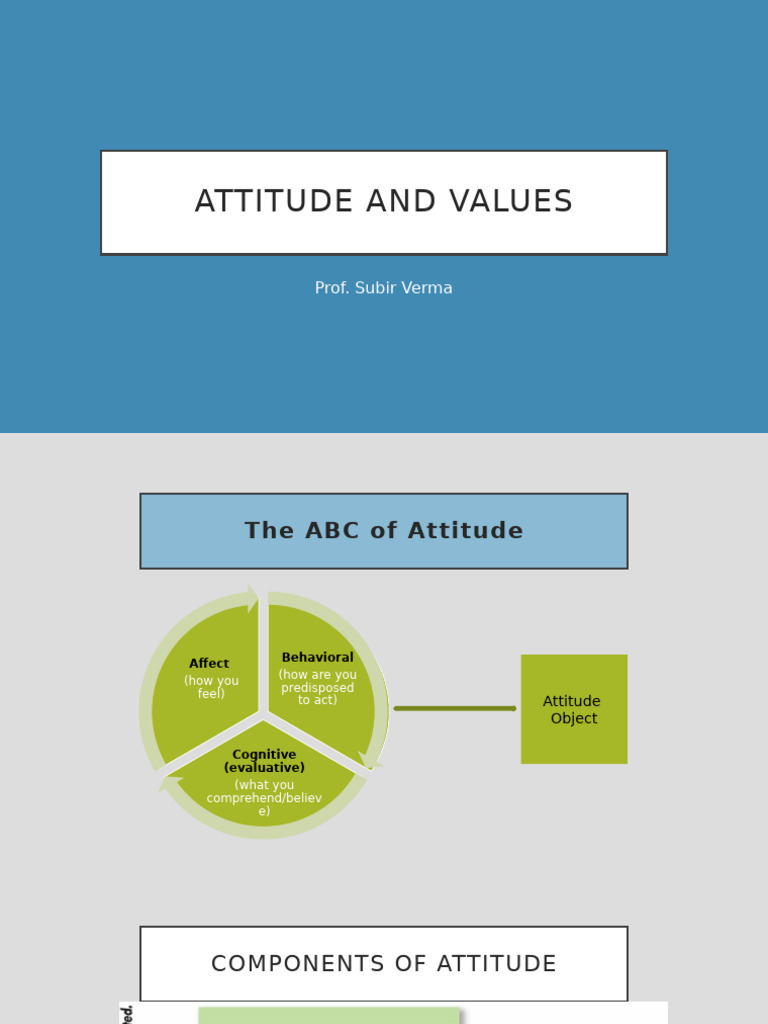 Attitude and Values | PDF | Job Satisfaction | Attitude (Psychology)