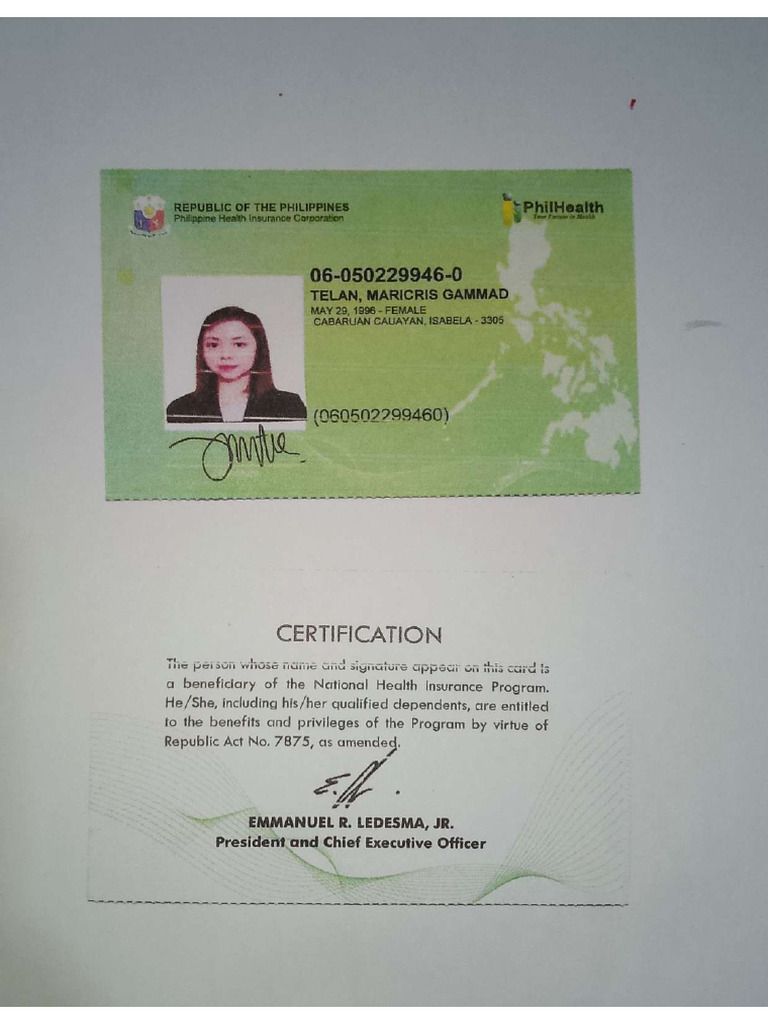 Government IDs | PDF