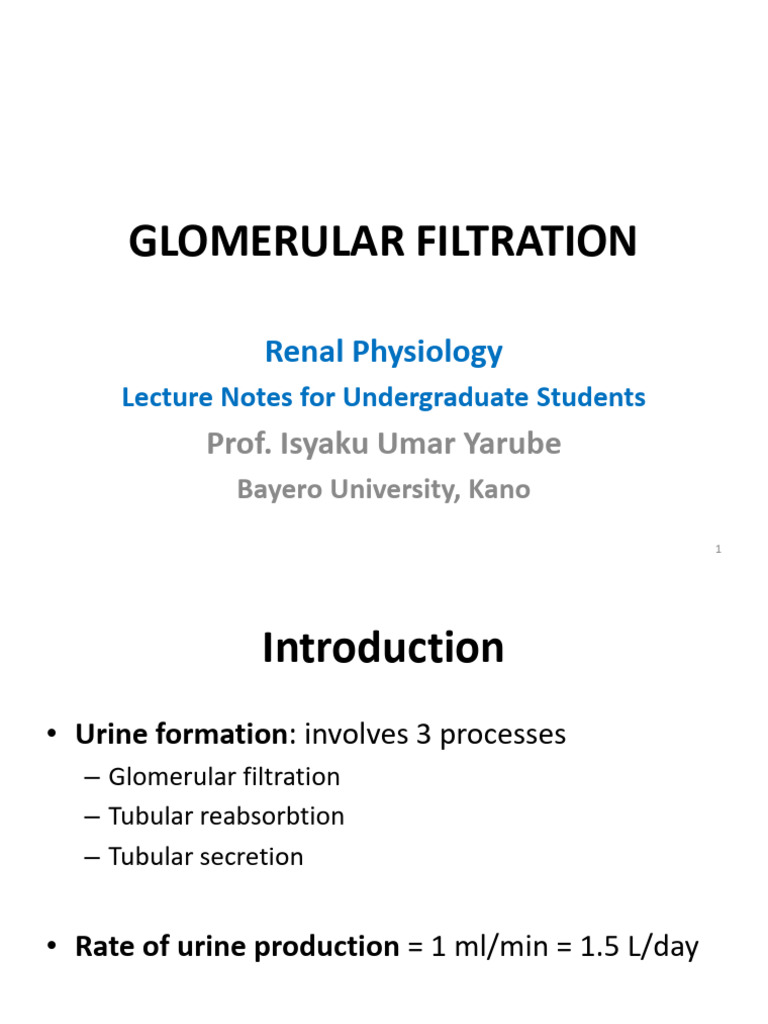 Understanding Glomerular Filtration | PDF | Kidney | Physiology