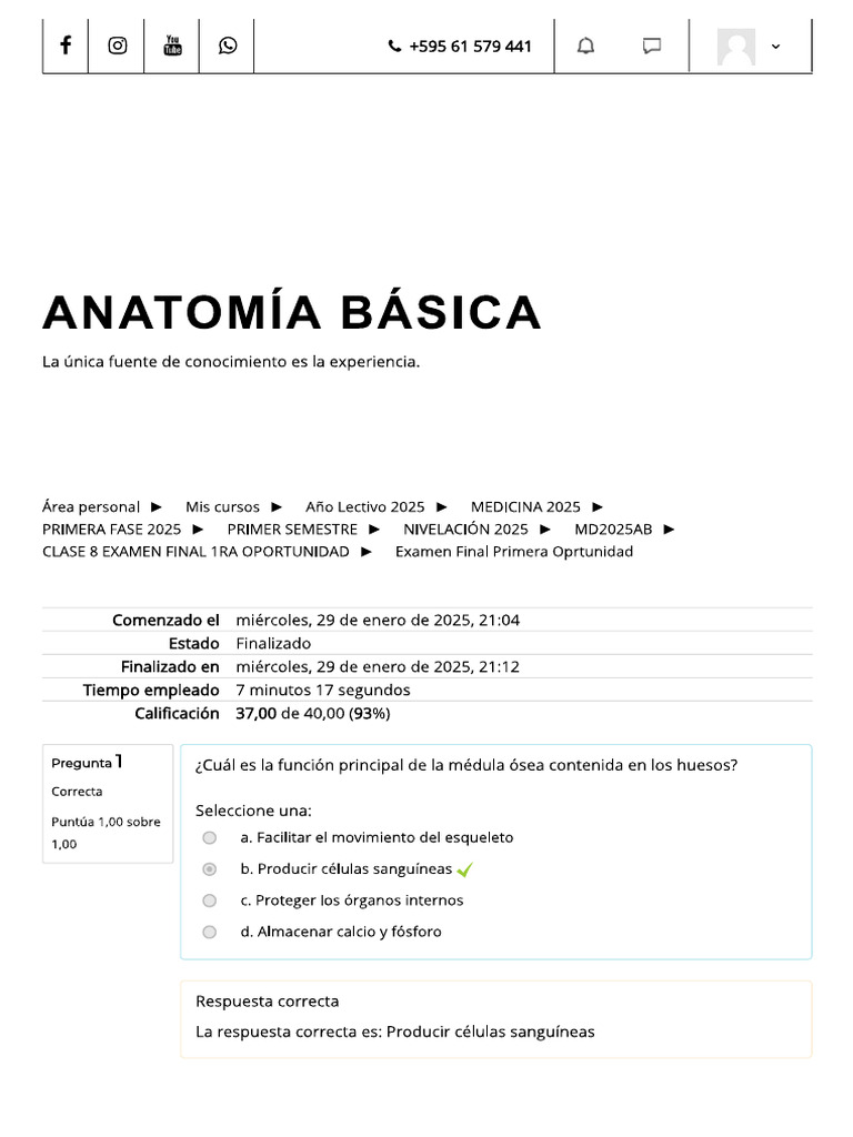Final Anatomia | PDF