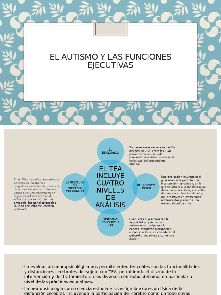 Autismo y Funciones Ejecutivas: Análisis | PDF | Autismo | Funciones ...