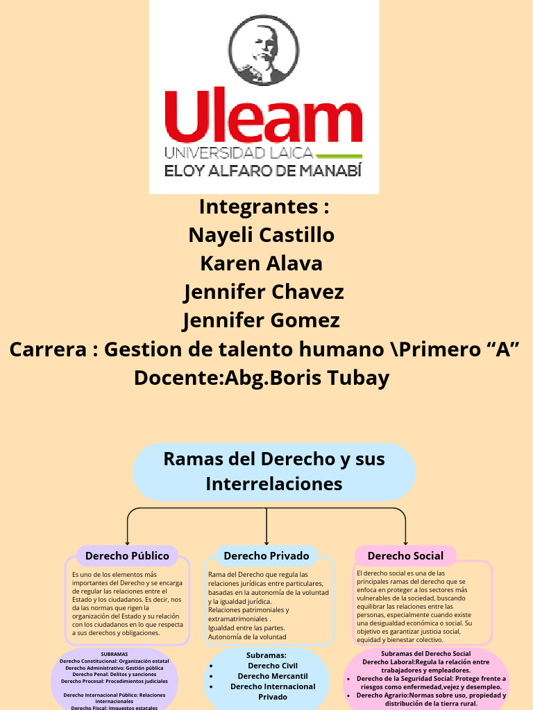 Map Concept Ramas Del Derecho y Sus Interreciones | PDF | Igualdad ...