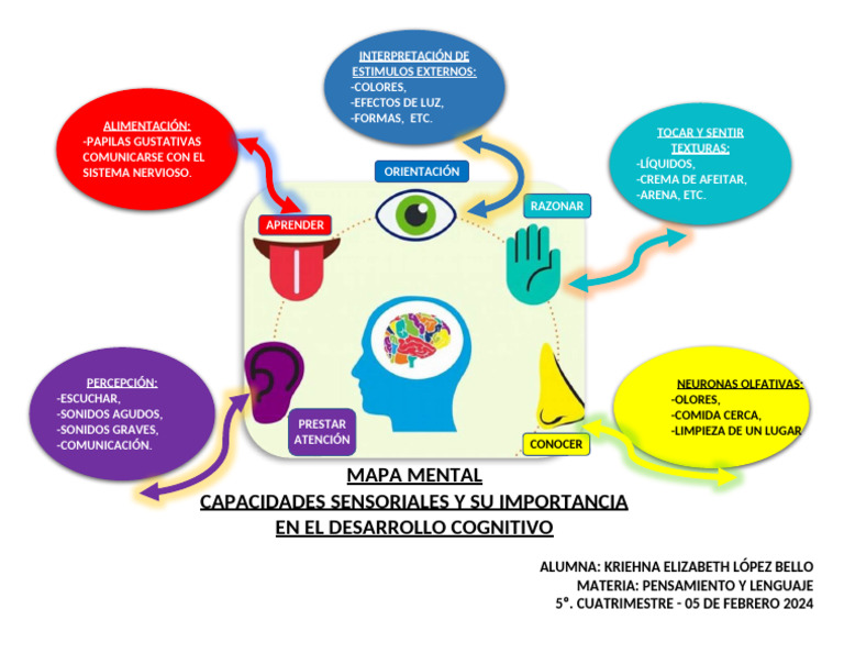Mapa Mental Capacidades Sensoriales | PDF