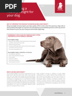 Royal Canin Body Condition Score Charts | PDF | Abdomen | Pelvis