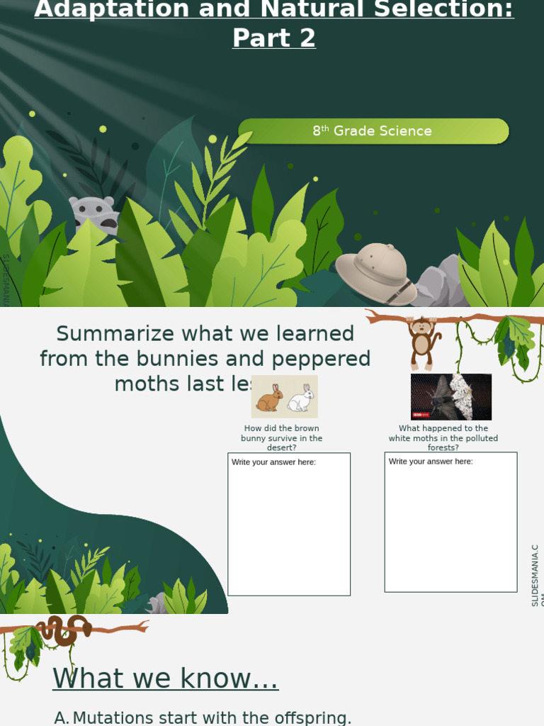 Part 2 - Adaptation and Nat Selection | PDF | Adaptation | Mutation