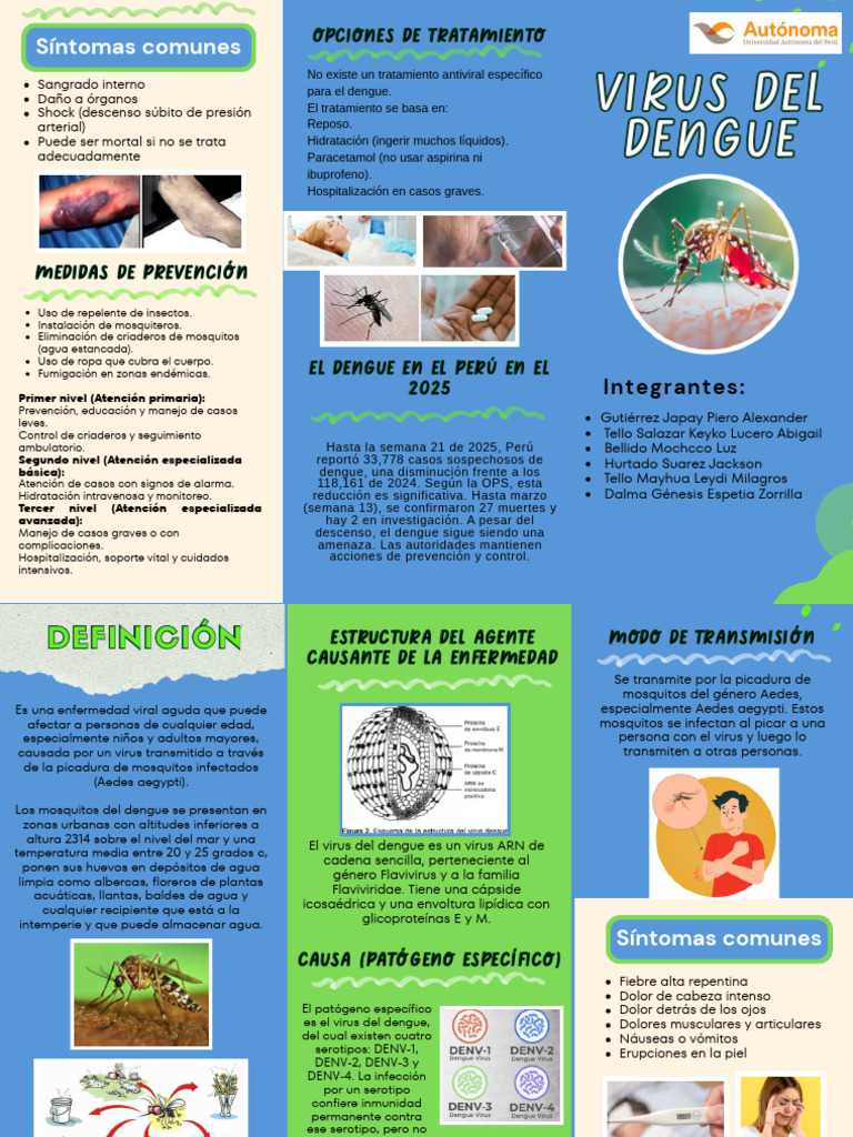 Triptico Virus Del Dengue | PDF | Virus | Enfermedades animales