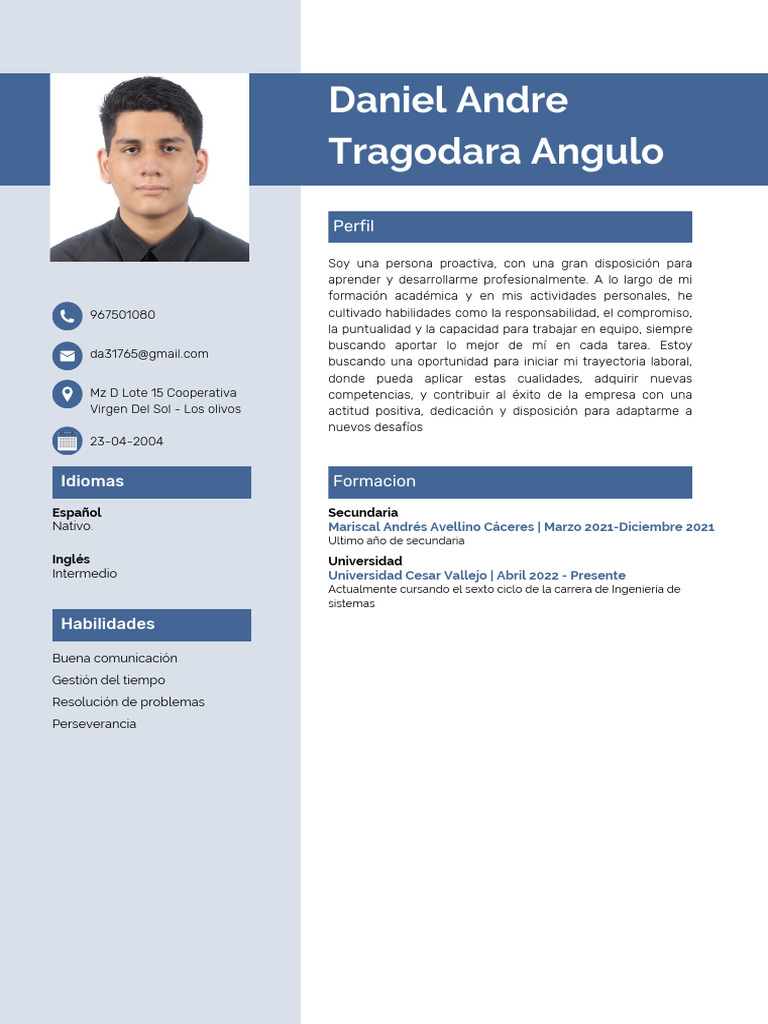 Currículum Daniel Andre Tragodara | PDF