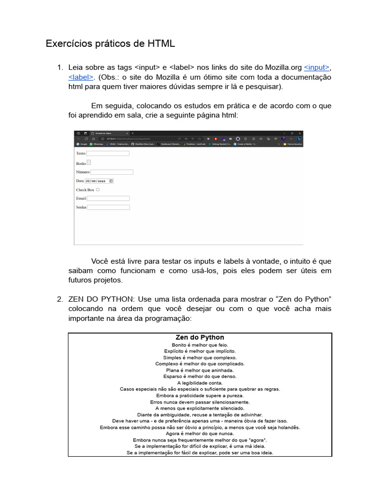Exercícios Práticos de HTML | PDF