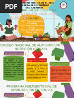 Flevomax 500mg Prospecto | PDF | Amamantamiento | El embarazo