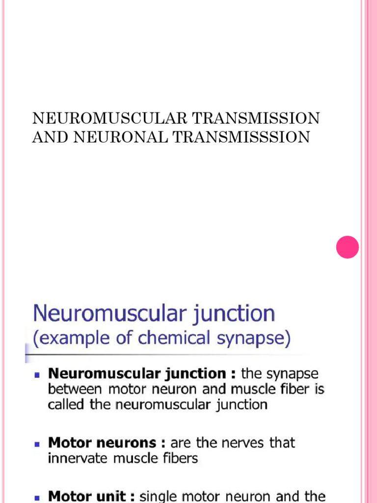 Neuromuscular Transmission | PDF