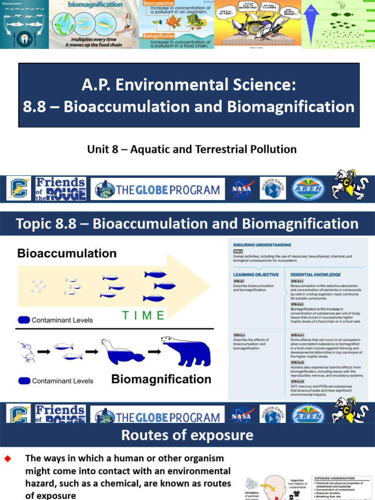8.8-Bioaccumulation and Biomagnification | PDF | Environmental Science ...