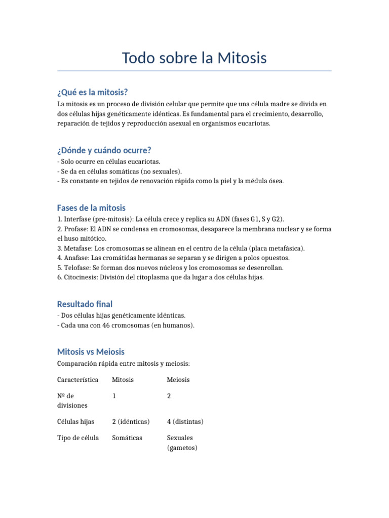Todo Sobre La Mitosis | PDF