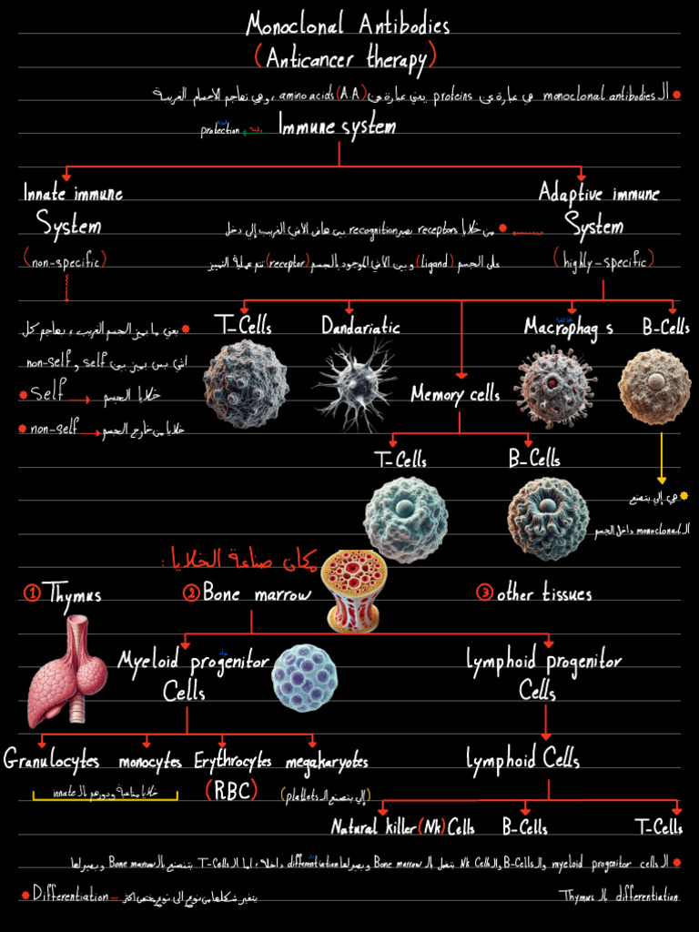 The Discovery Process For MABs 4 | PDF | Antibody | Monoclonal Antibody