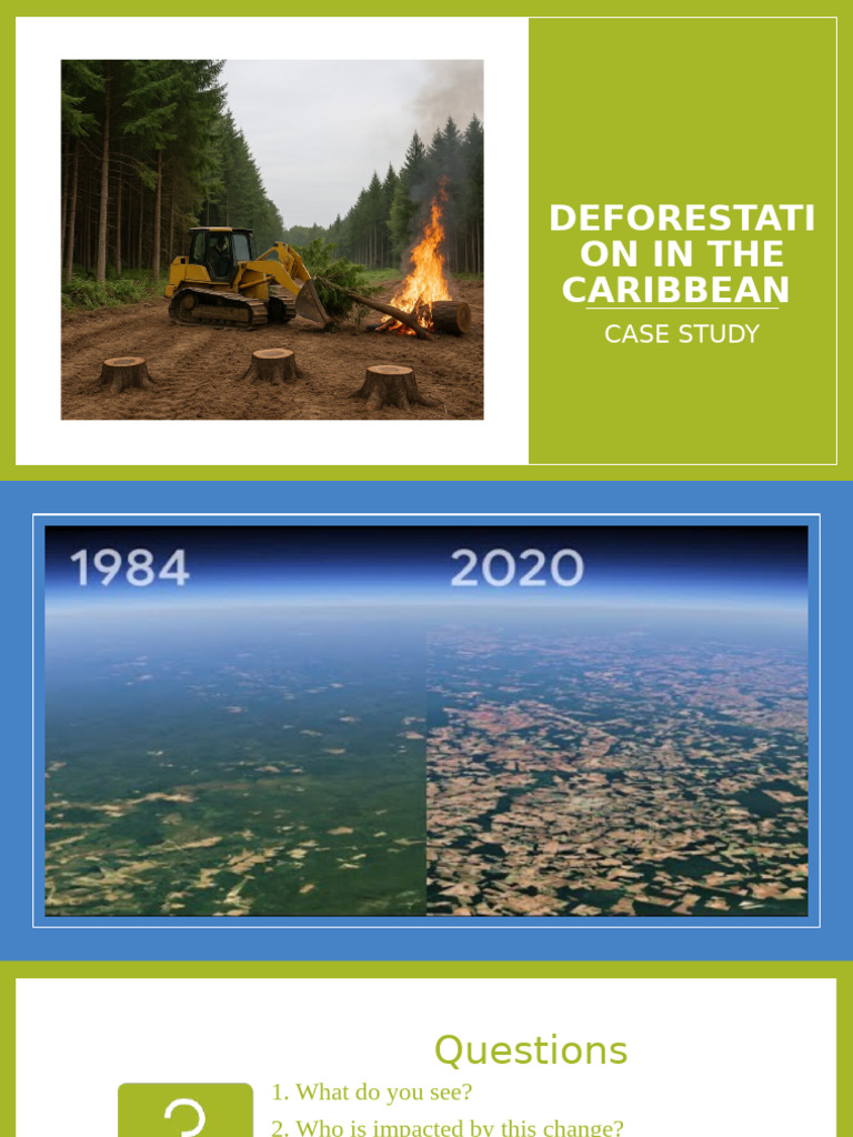 Deforestation Case Study Lesson 4 | PDF | Deforestation | Forests