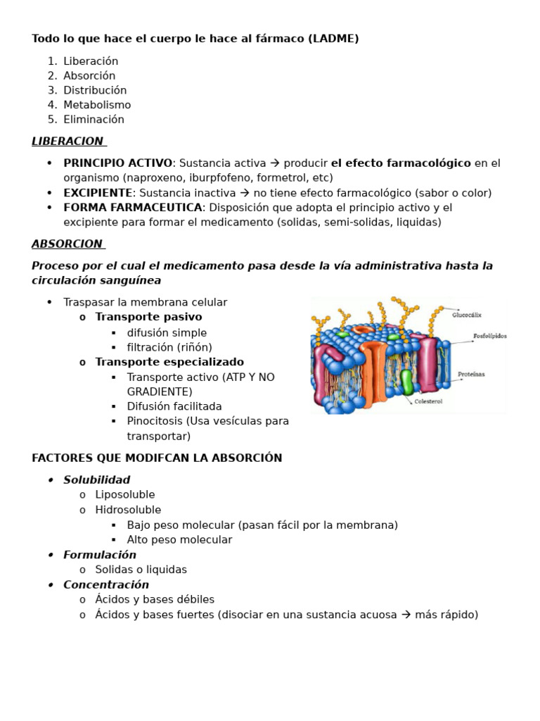 Far Maco Cine Tica | PDF | Medicamentos con receta | Química medicinal