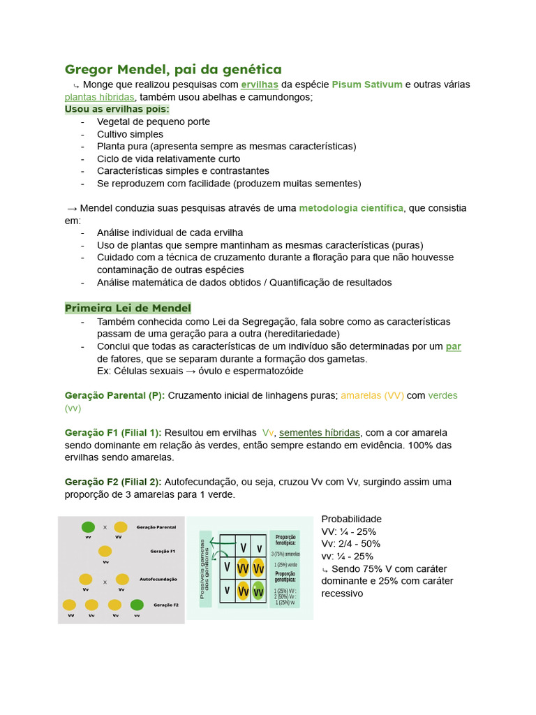 Resumo Ciências - 2º Bim, Av2 | PDF | Meiose | DNA