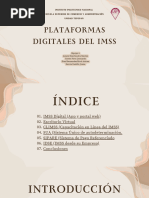 Manual de Usuario eSIFAP Hidalgo | PDF | Contraseña | Internet